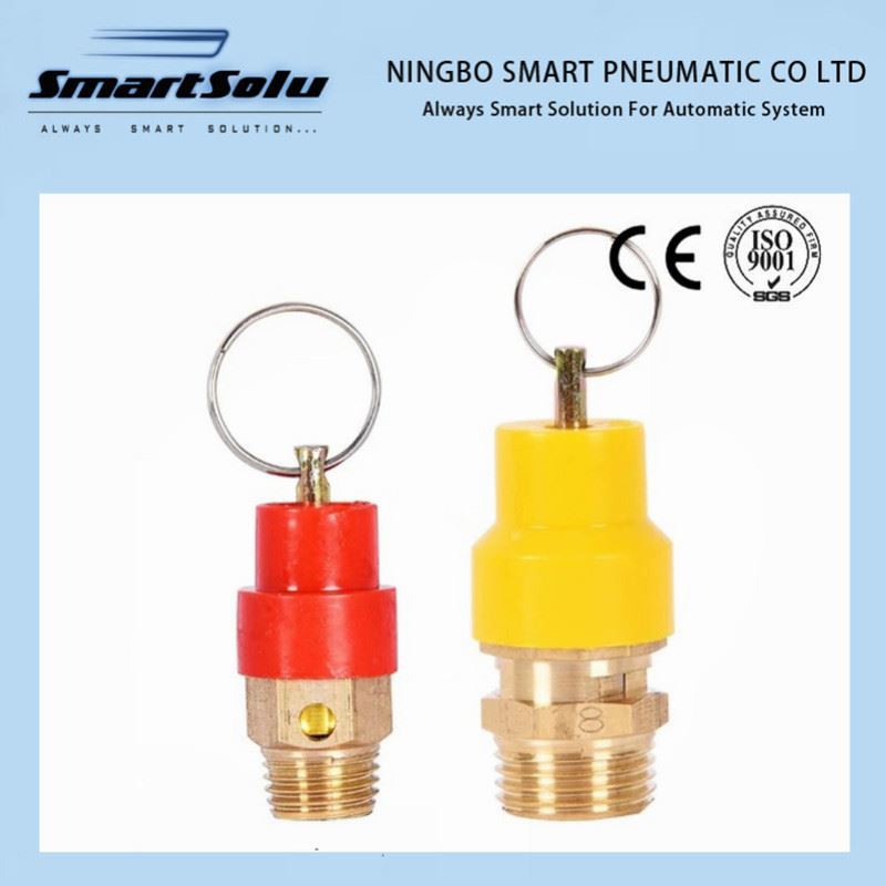 China Customized Plastic Brass Air Compressor Safety Valve ...